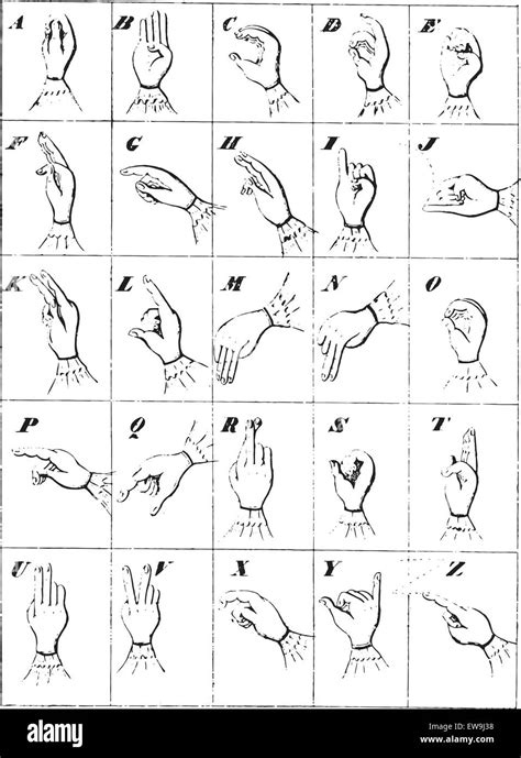 Image result for Sign Language Dictionary Printable