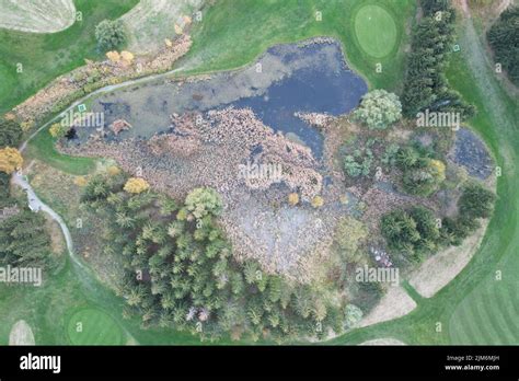 Image result for Top View of Golf Course