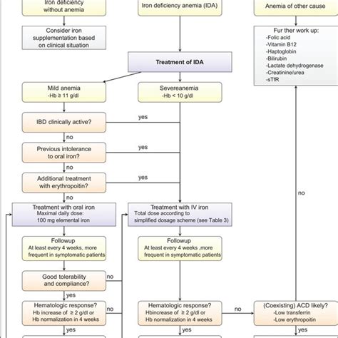 Image result for Algorithm for Anemia Work Up