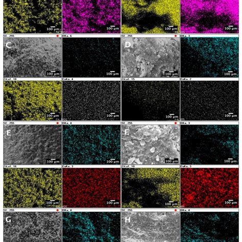 Image result for PD ZrO2