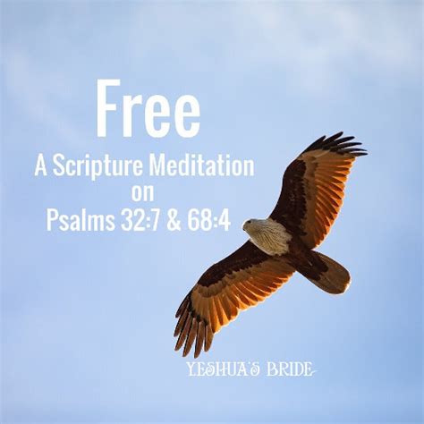 Image result for Yeshua's Bride