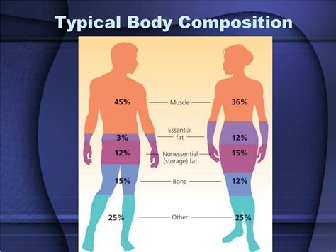Image result for Types of Body Composition