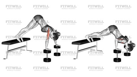 Image result for Pike Push-Up Exercise
