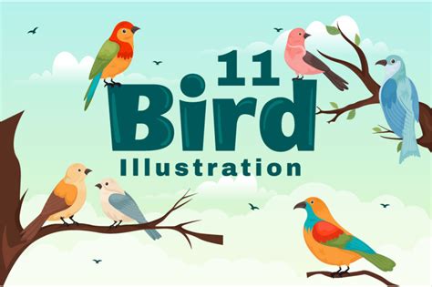 Image result for Bird Vector Question Class 11th