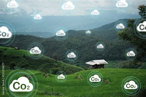 Image result for Zero Net Carbon Explained