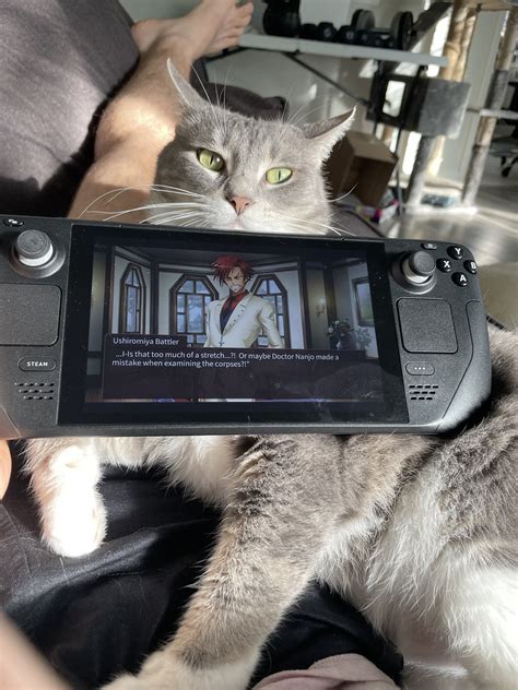 Image result for Umineko Project How to Run Tutorialk