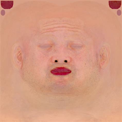 Image result for Face Texture Map
