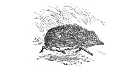 Image result for Alias Syntax in Python