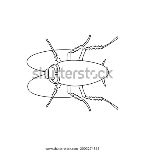 Image result for Cockroach Line Art