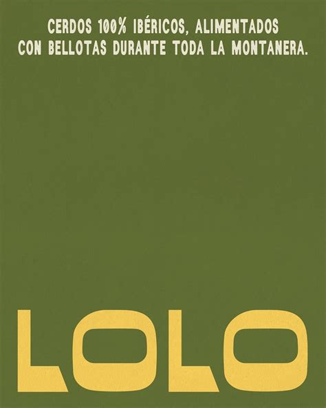 Image result for Lolo De Programming Language