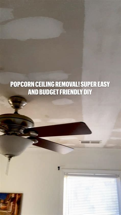 Image result for Popcorn Ceiling Scraper