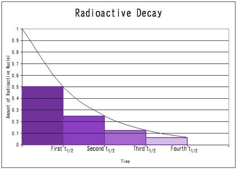 Image result for Radioactive Decay Simulation Python