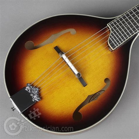 Image result for 6 String Mandolin
