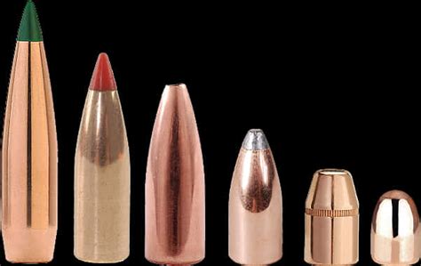 Image result for Different Types of Bullet Tips