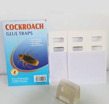 Image result for Cockroach Sticky Traps