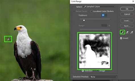 Image result for Make Color Transparent