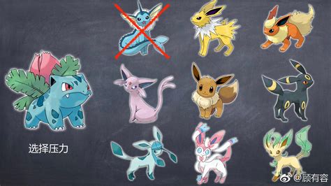 Image result for Poke Evolution
