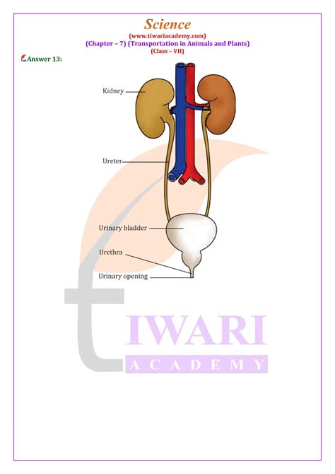 Image result for Class 7th Science Chapter 7