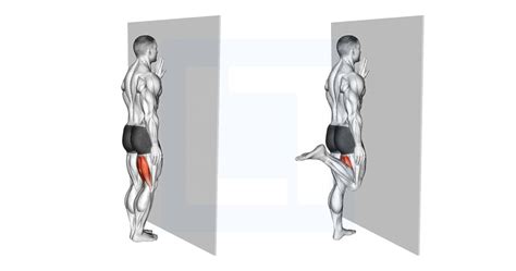 Image result for Standing Hamstring Stretch