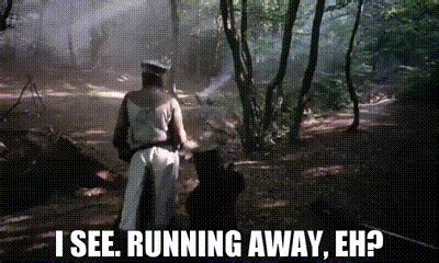 Image result for Monty Python Run Away Meme