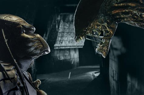 Image result for Alien Predator Stricken vs