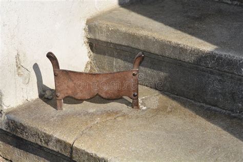 Image result for Animal Boot Scraper