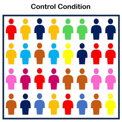 Image result for Random Assignment