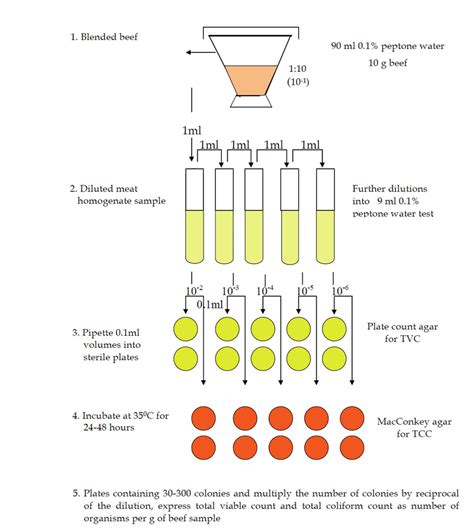 Image result for Microbial Total Count Validation Protocol