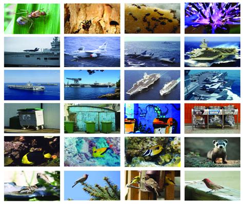 Image result for Image Net Data