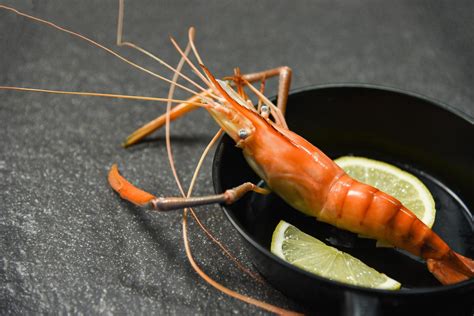 Image result for Cooked Shellfish