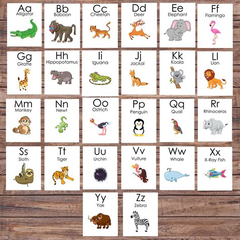 Image result for ABC Animal Alphabet
