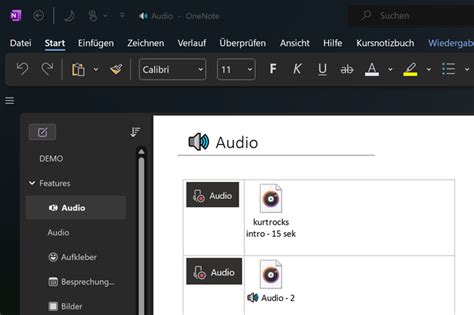 Image result for OneNote 2016 Vertical
