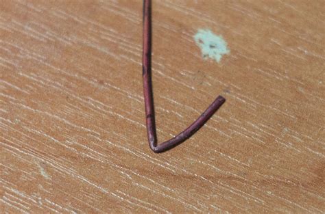 Image result for Wire Wrapped Snake Tutorial