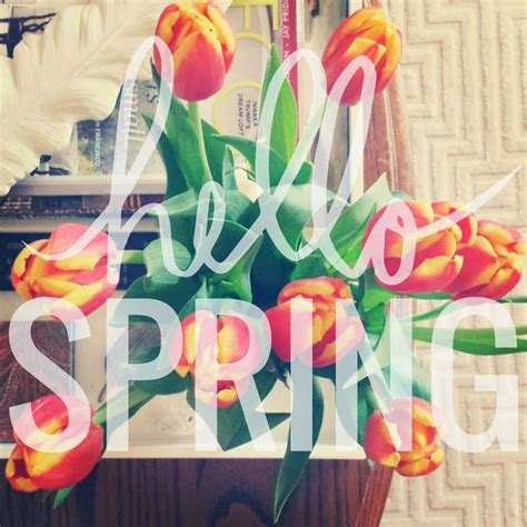 Image result for Hello Spring Co
