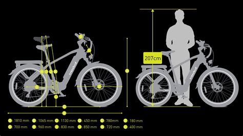 Image result for Seta Body Scale