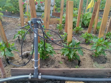 Image result for Drip System