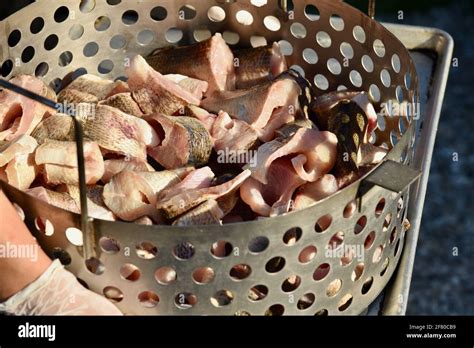 Image result for Boiling Fish
