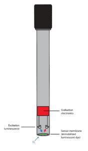Image result for How Dose a Oxygen Sensor Work