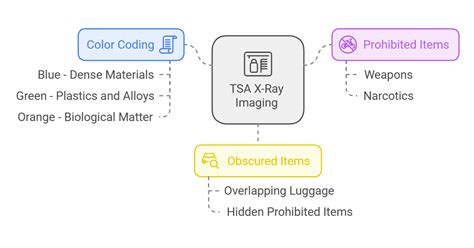 Image result for TSA Computer-based Test