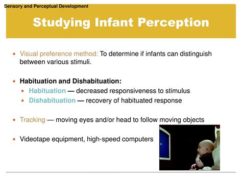 Image result for Perceptual Development Definition