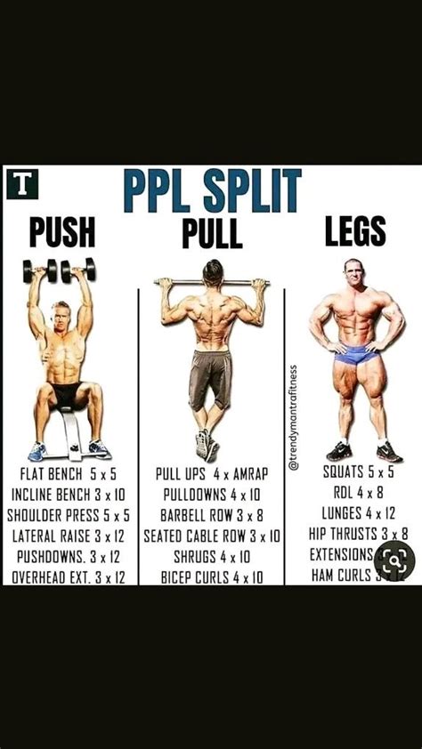 Image result for PPL Tutorial