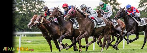 Image result for Course de Chevaux en Direct