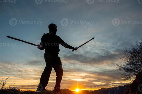 Image result for Sword Fight Tutorial