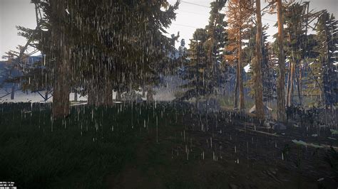 Image result for How Turn Off Rain in Rust