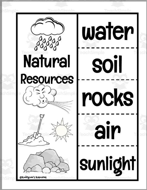 Image result for Natural Resources Worksheet Printable