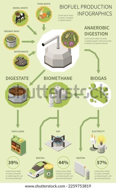 Image result for Biofuel Production Process