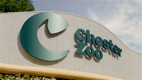 Image result for Chester Zoo Wolves