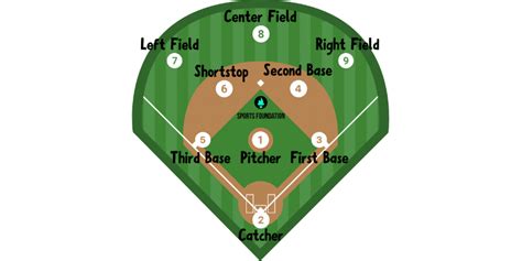 Image result for Softball Positions Explained