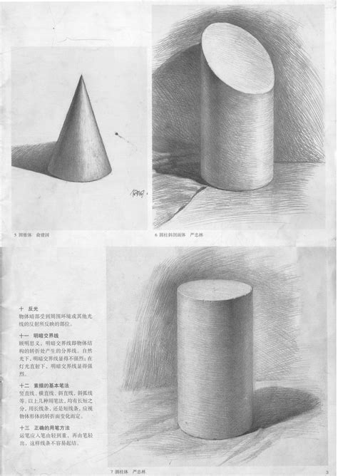 Image result for Basic Forms