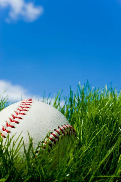 Image result for Hello Spring Baseball